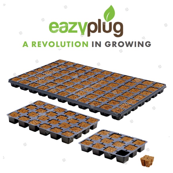 Eazy Plug Tohum Ekim Viyolü 2.5x2.5x3 cm 150 göz — ProBitki