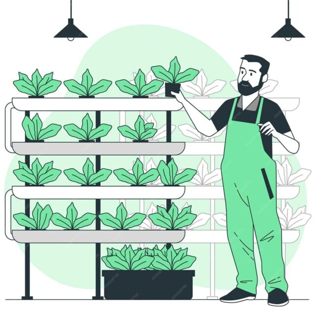Grow Shop Nedir? — ProBitki